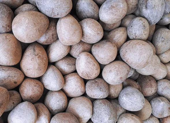 Coconut Copra Wholesale Suppliers & Distributors - Direct from the Farm ...