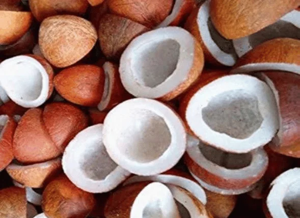 Coconut Copra Wholesale Suppliers & Distributors - Direct from the Farm ...